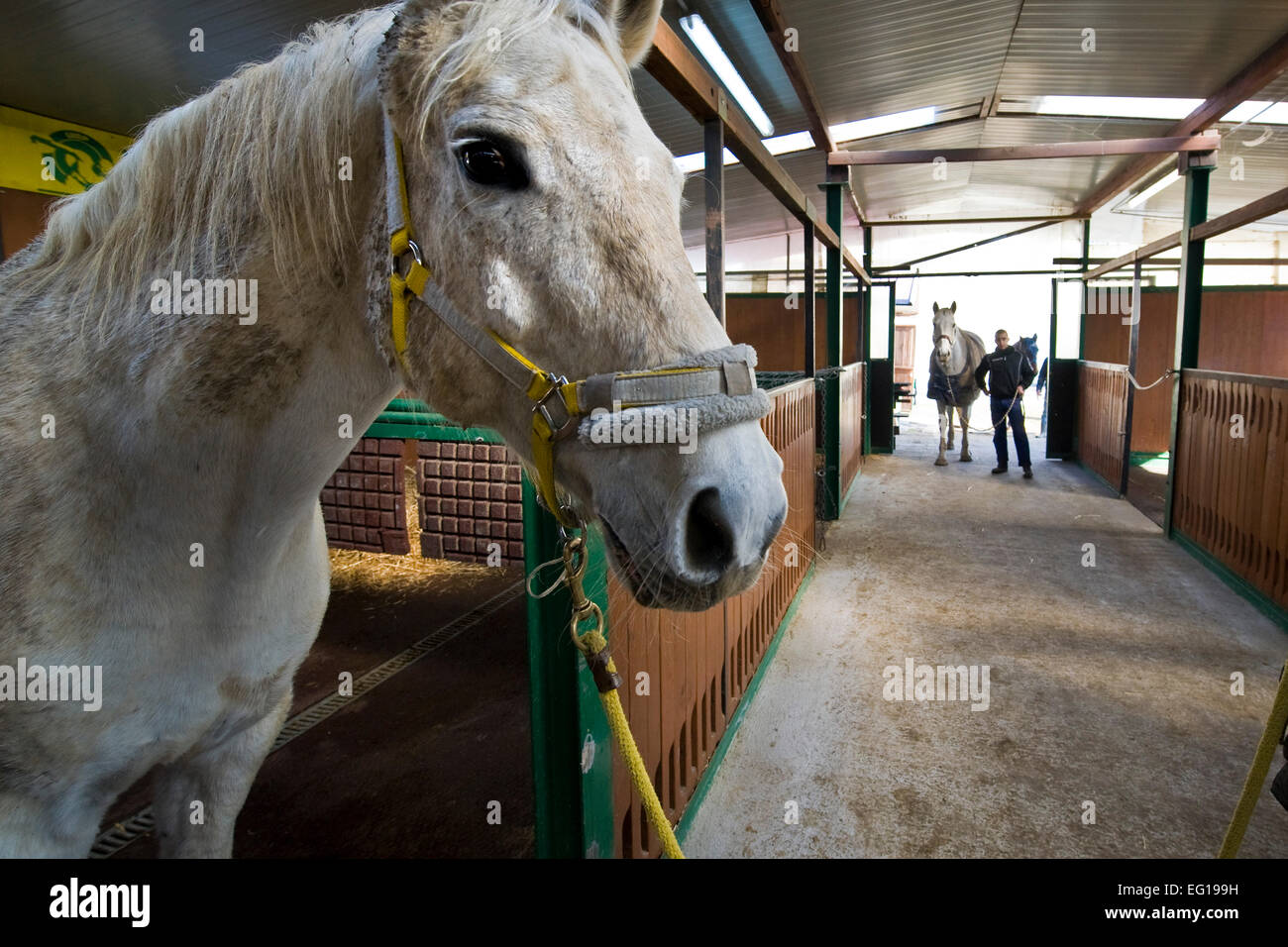 Outdoor Prison High Resolution Stock Photography and Images - Alamy