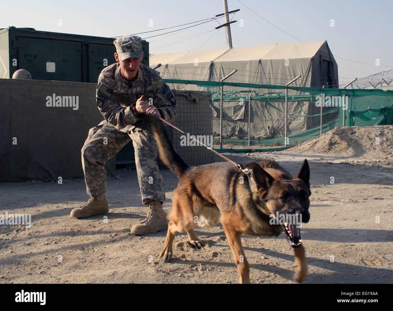 U.S. Air Force Staff teamed with Bodro, a 2-year-old Belgian Malinois ...