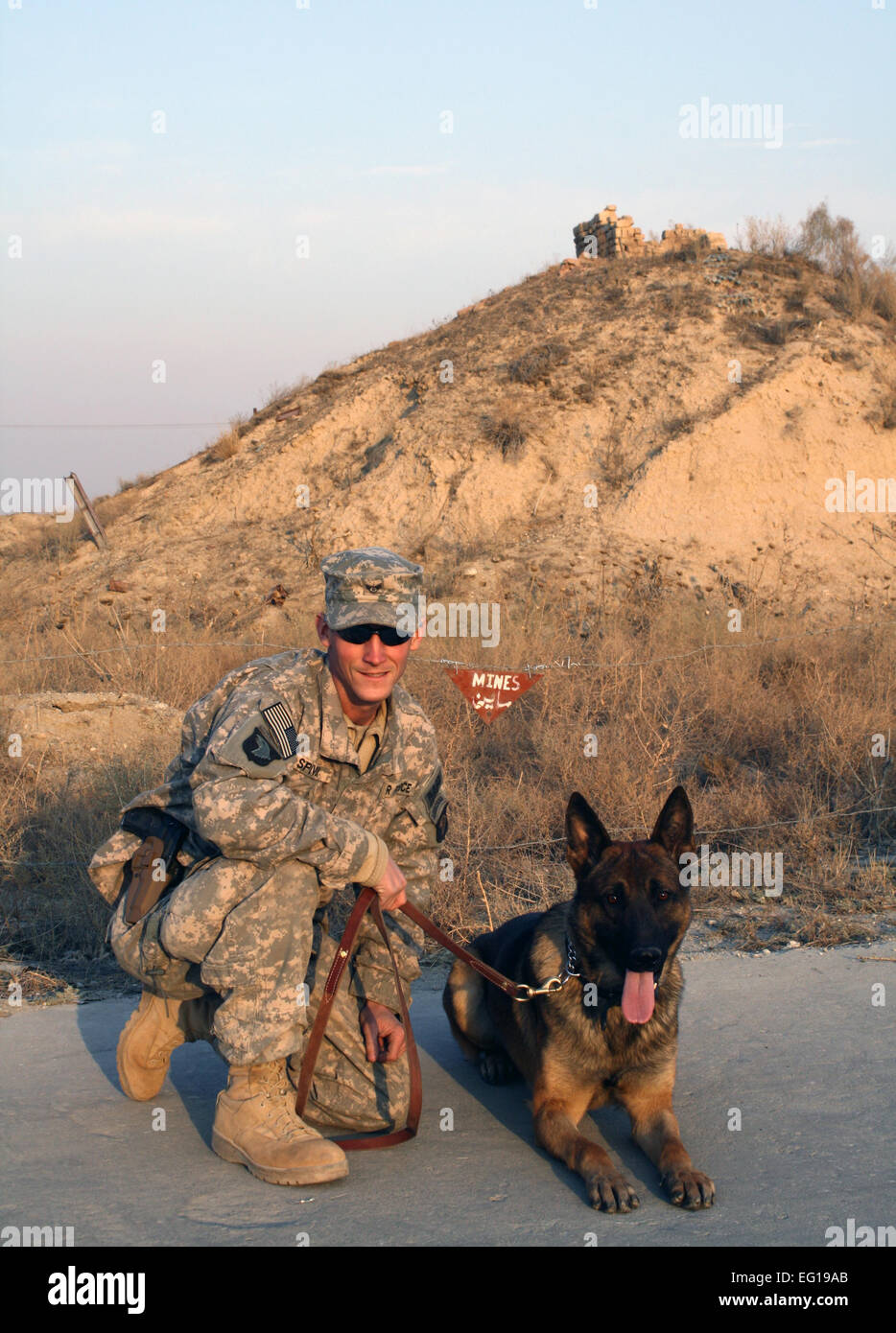 Belgian Malinois Soldier