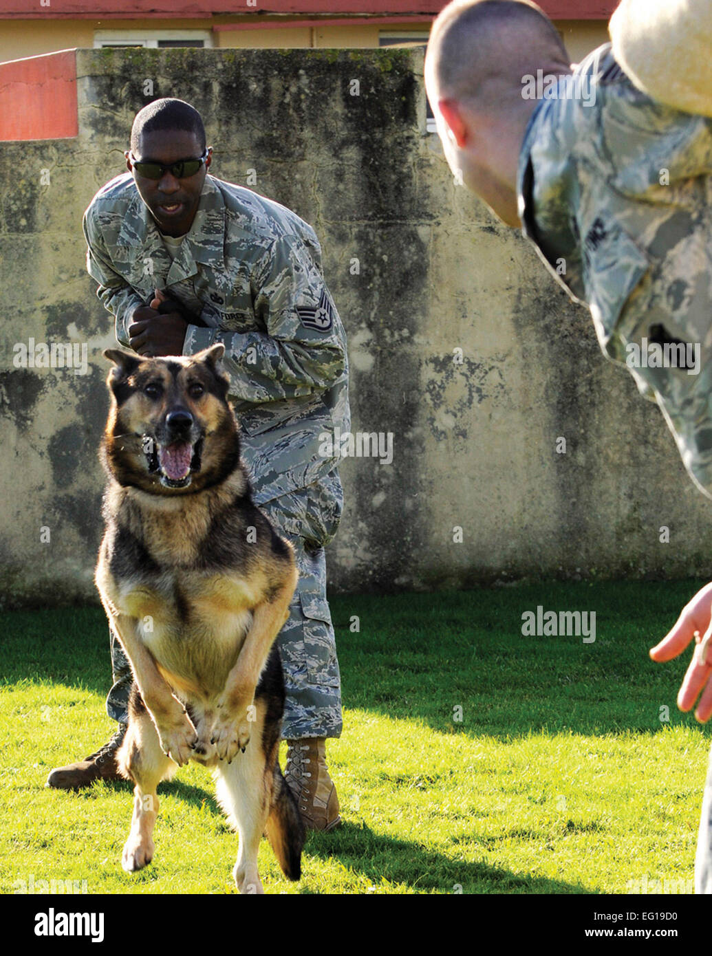 U.S. Air Force Staff Sgts. Jerald Harris handling the dog and Curtis ...