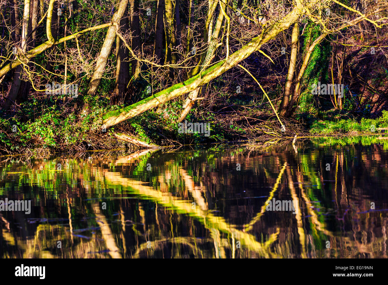 Scenic landscapes at Himley Hall & Park in Dudley, West Midlands - The ...