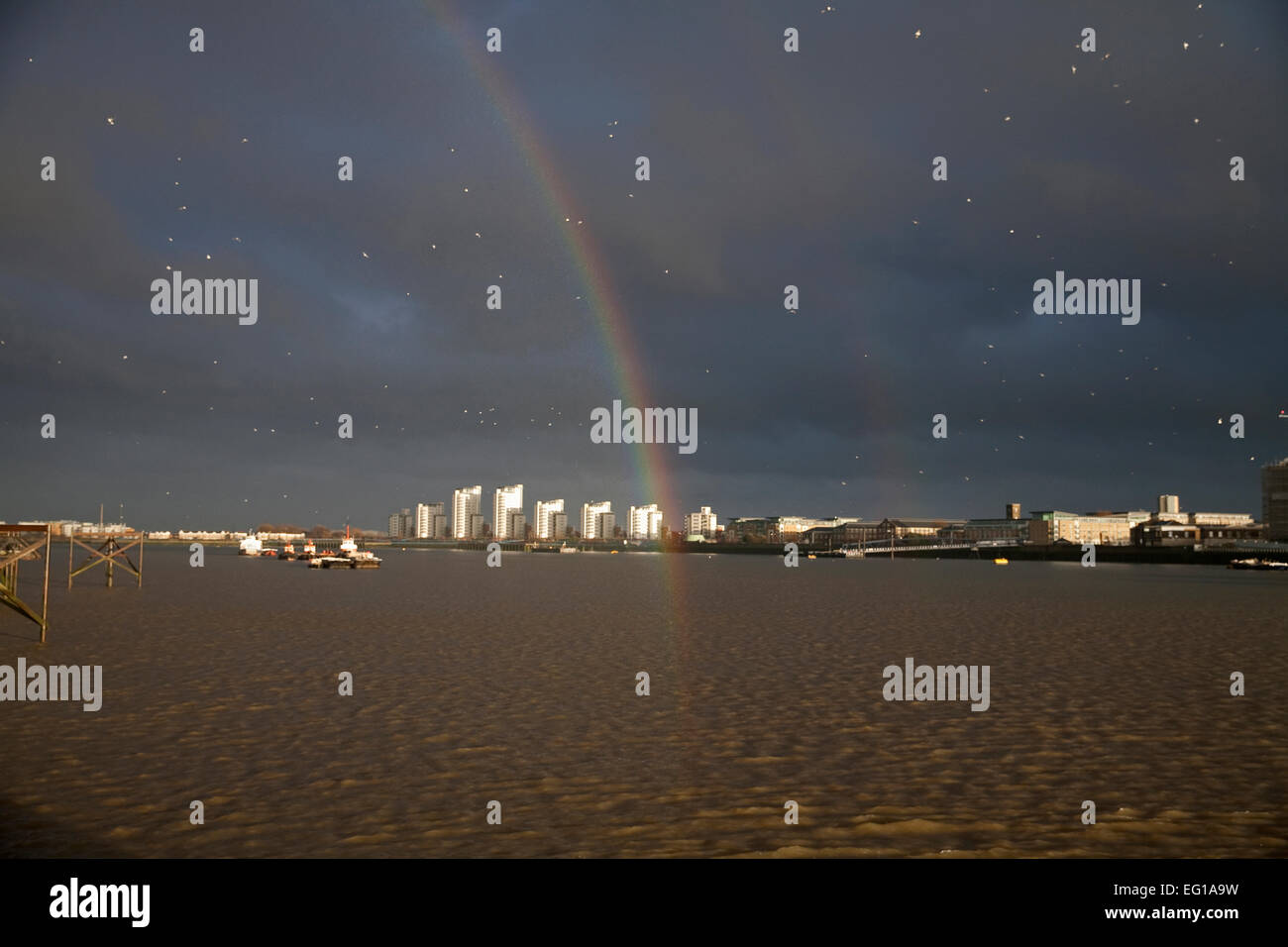 UK Weather: Seagulls fly amongst the Storm clouds and a rainbow which ...