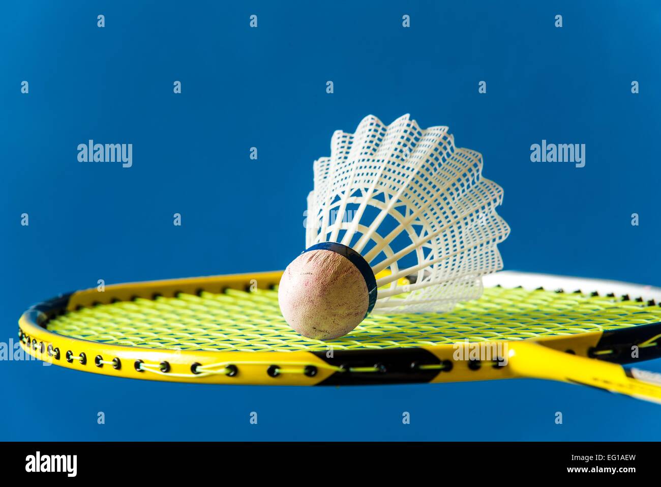Badminton shuttlecock on the racket Stock Photo - Alamy