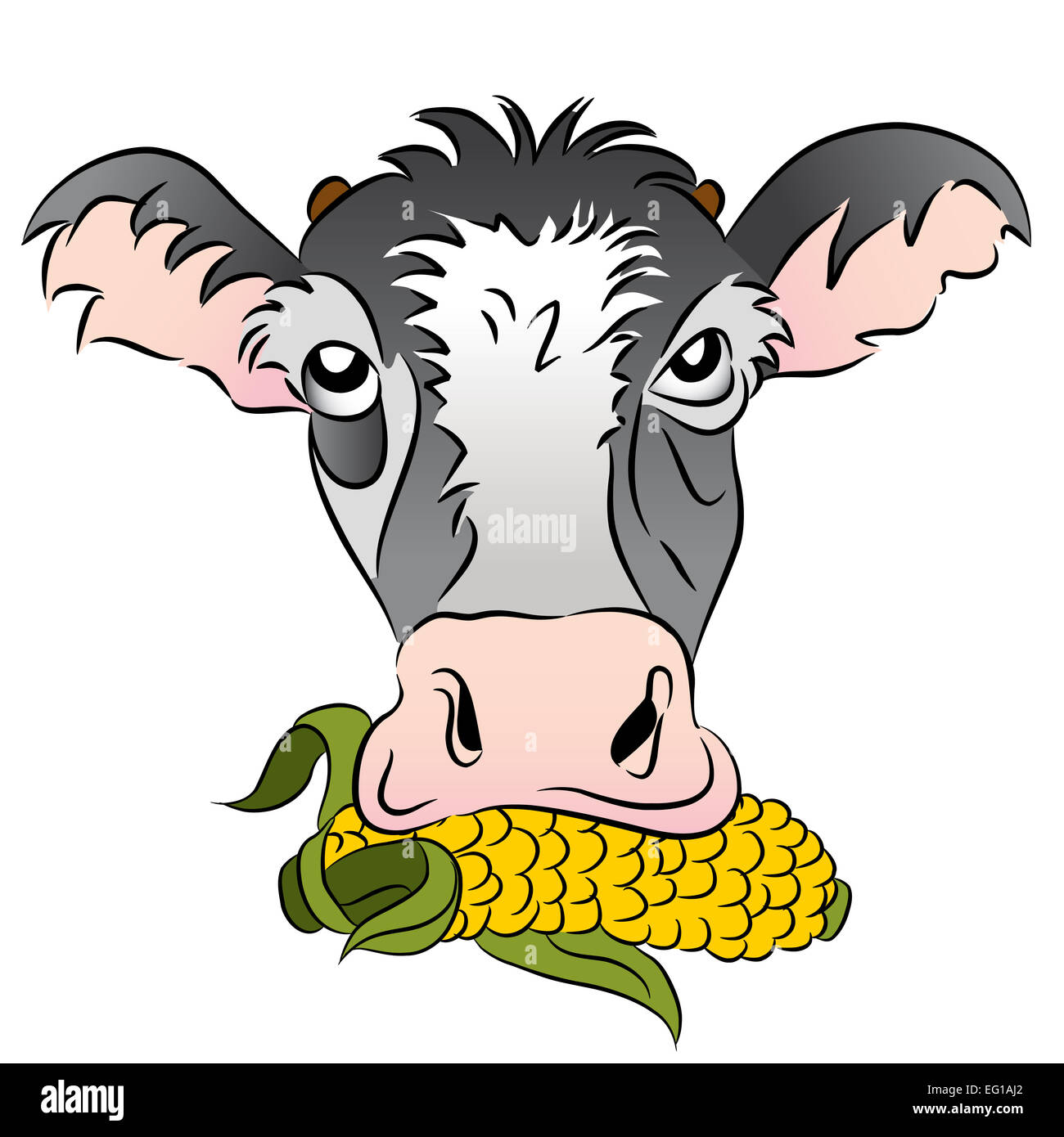 Steer Clip Art