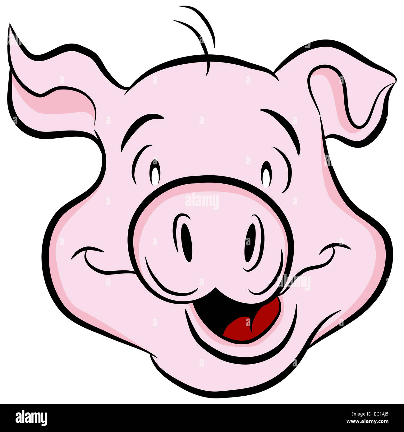 An image of a pig head Stock Photo - Alamy