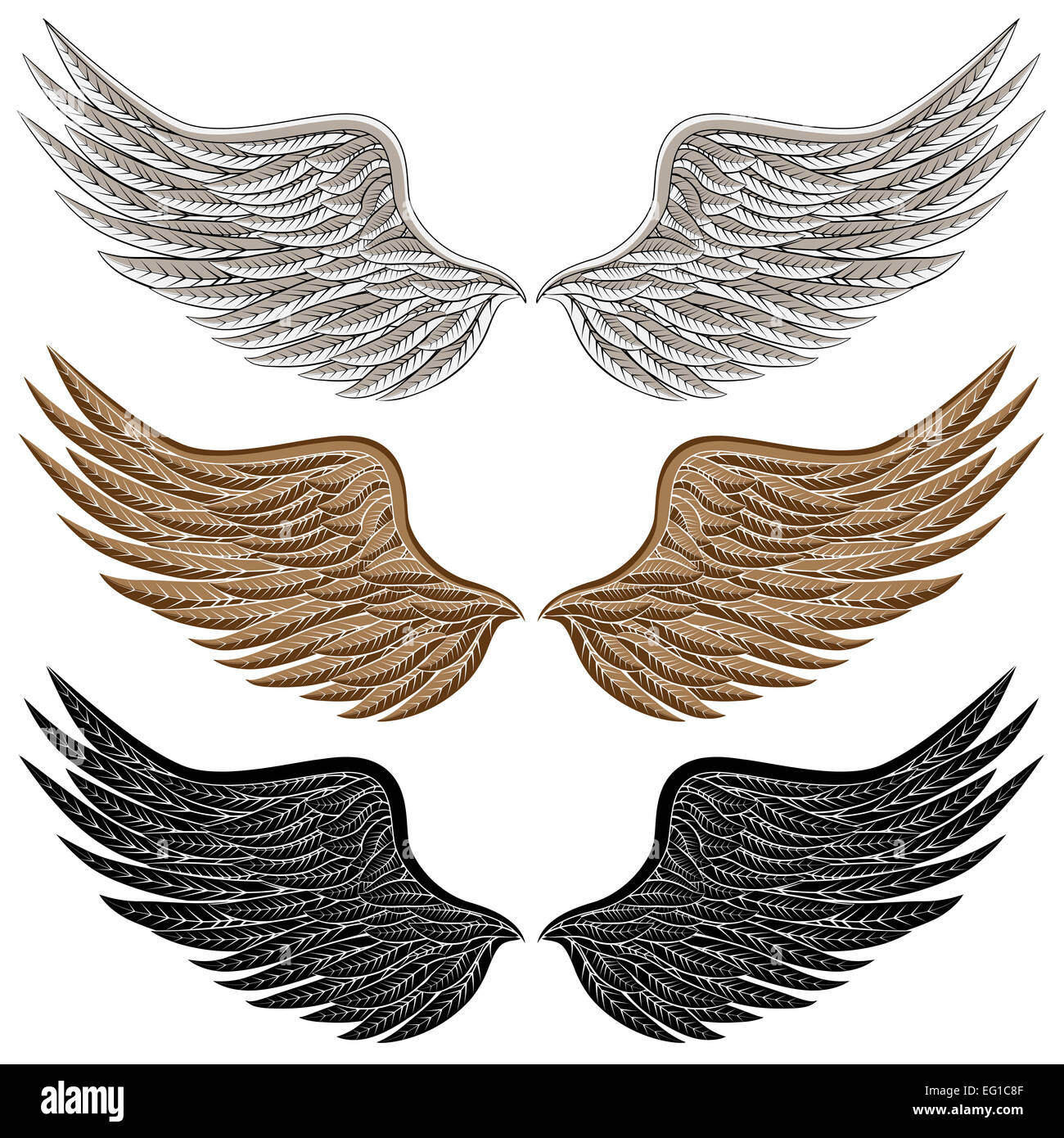 An image of a detailed bird wings Stock Photo - Alamy