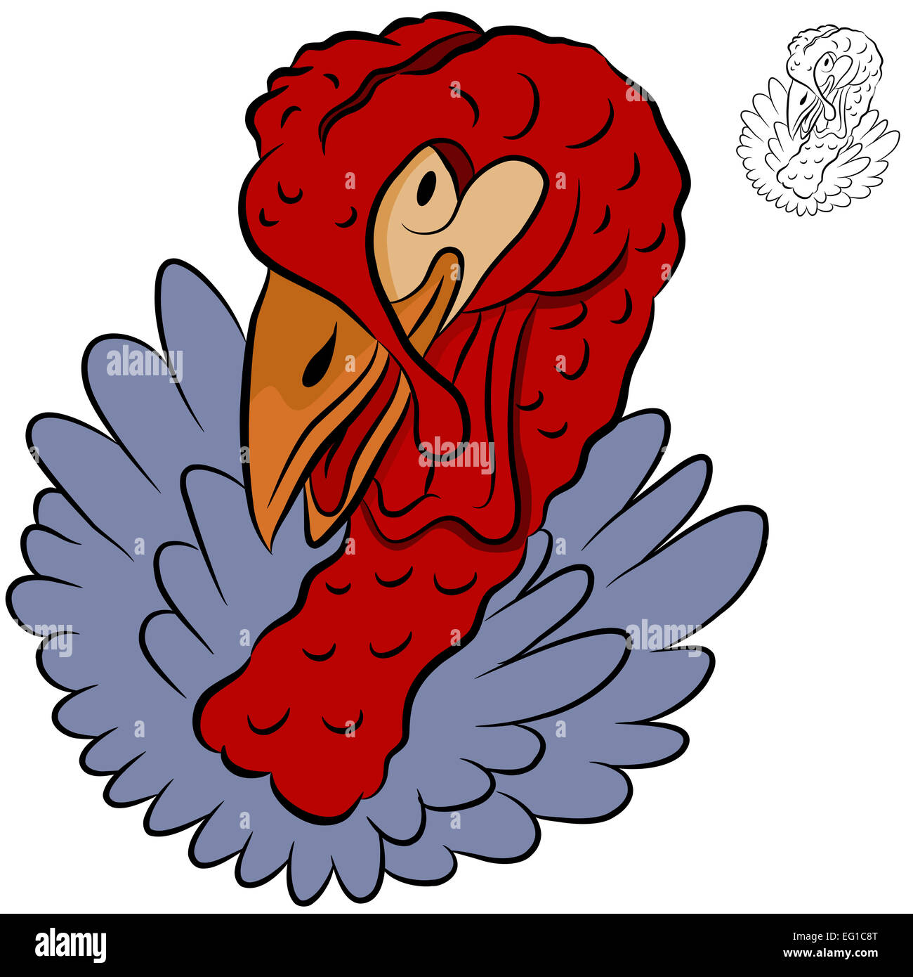 Turkey head vector illustration hi-res stock photography and images - Alamy