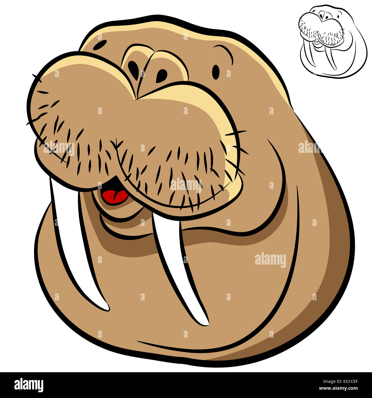 Smiling Walrus