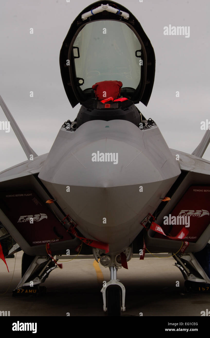 A U.S. Air Force F-22 Raptor stealth fighter stands ready for ...