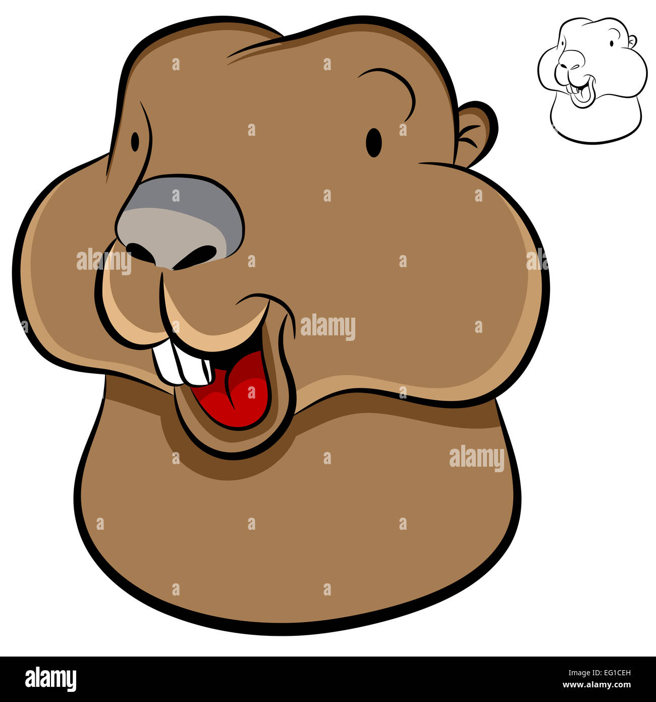 An image of a gopher face Stock Photo - Alamy