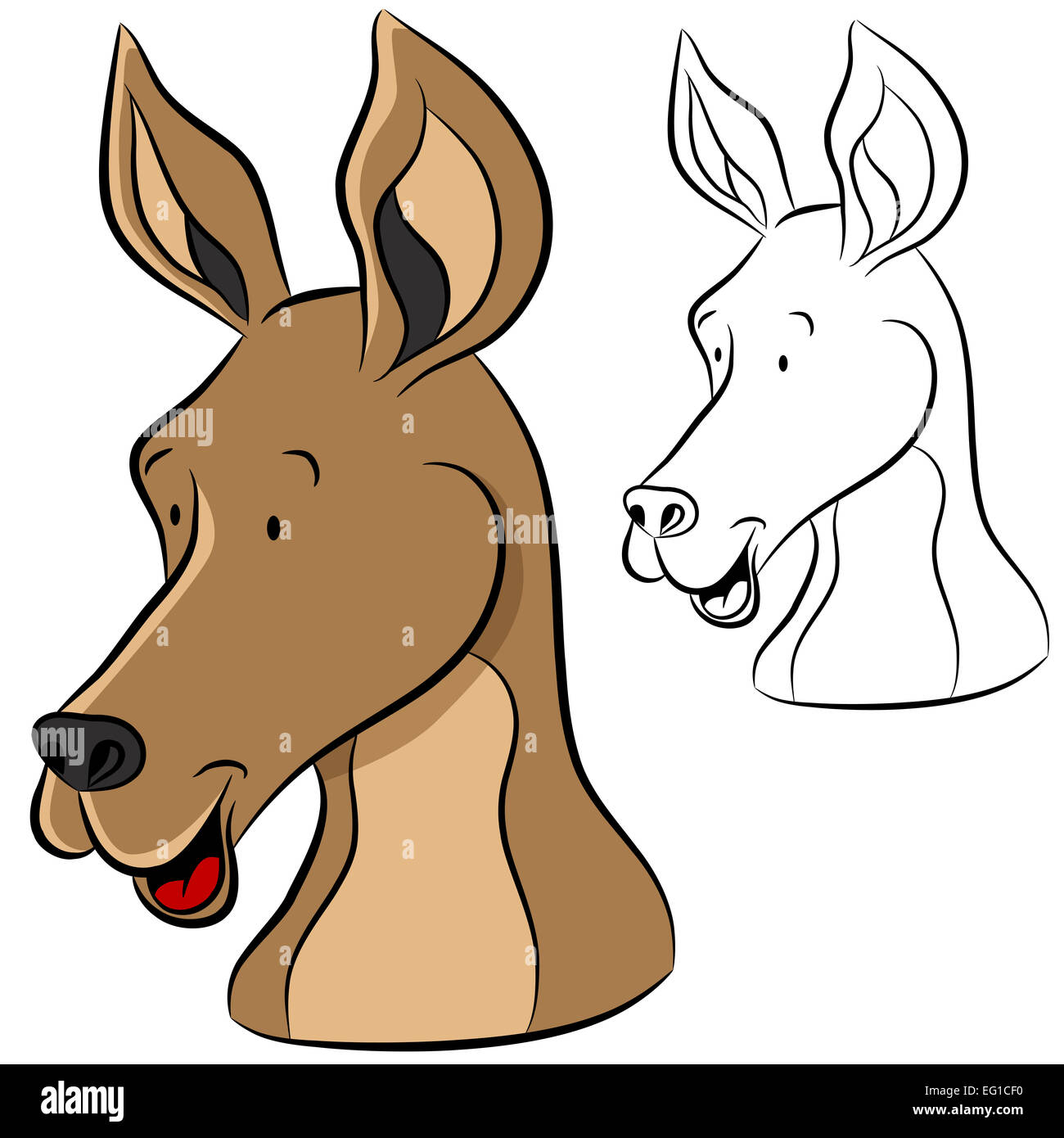 An image of a kangaroo face Stock Photo - Alamy