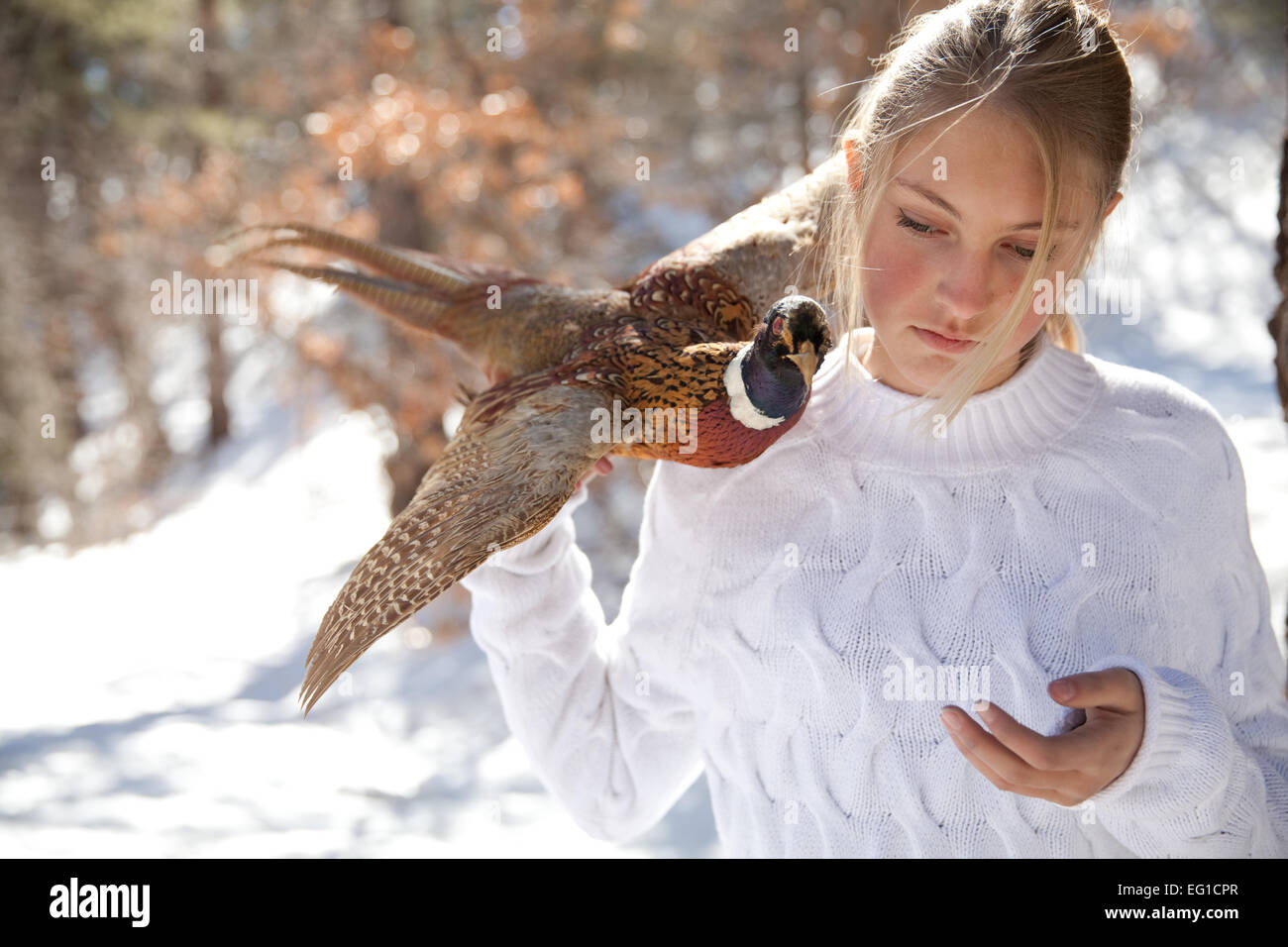 Girl holding pheasant in winter forest Stock Photo - Alamy