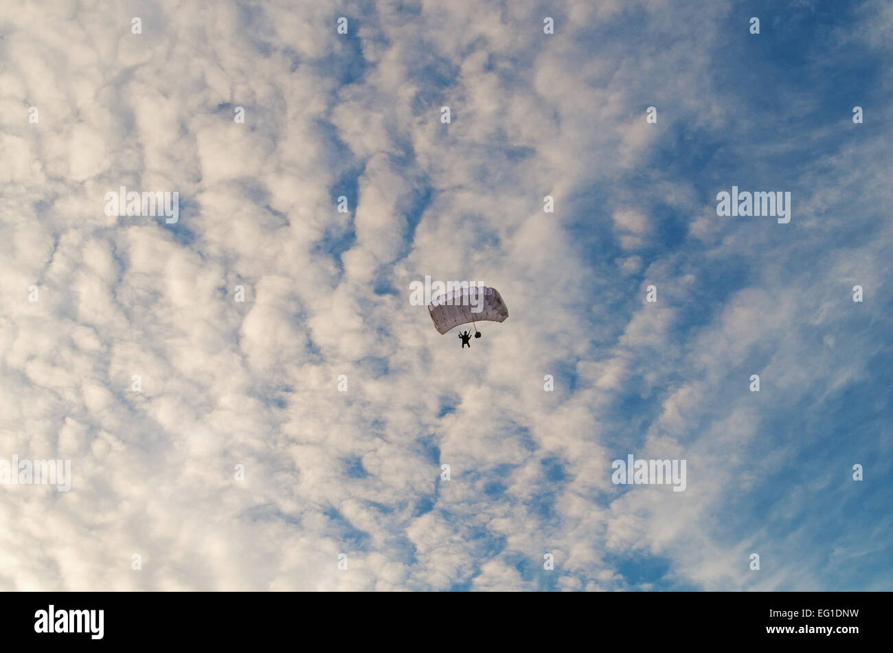 Parachutists - 2014. Flight Stock Photo - Alamy