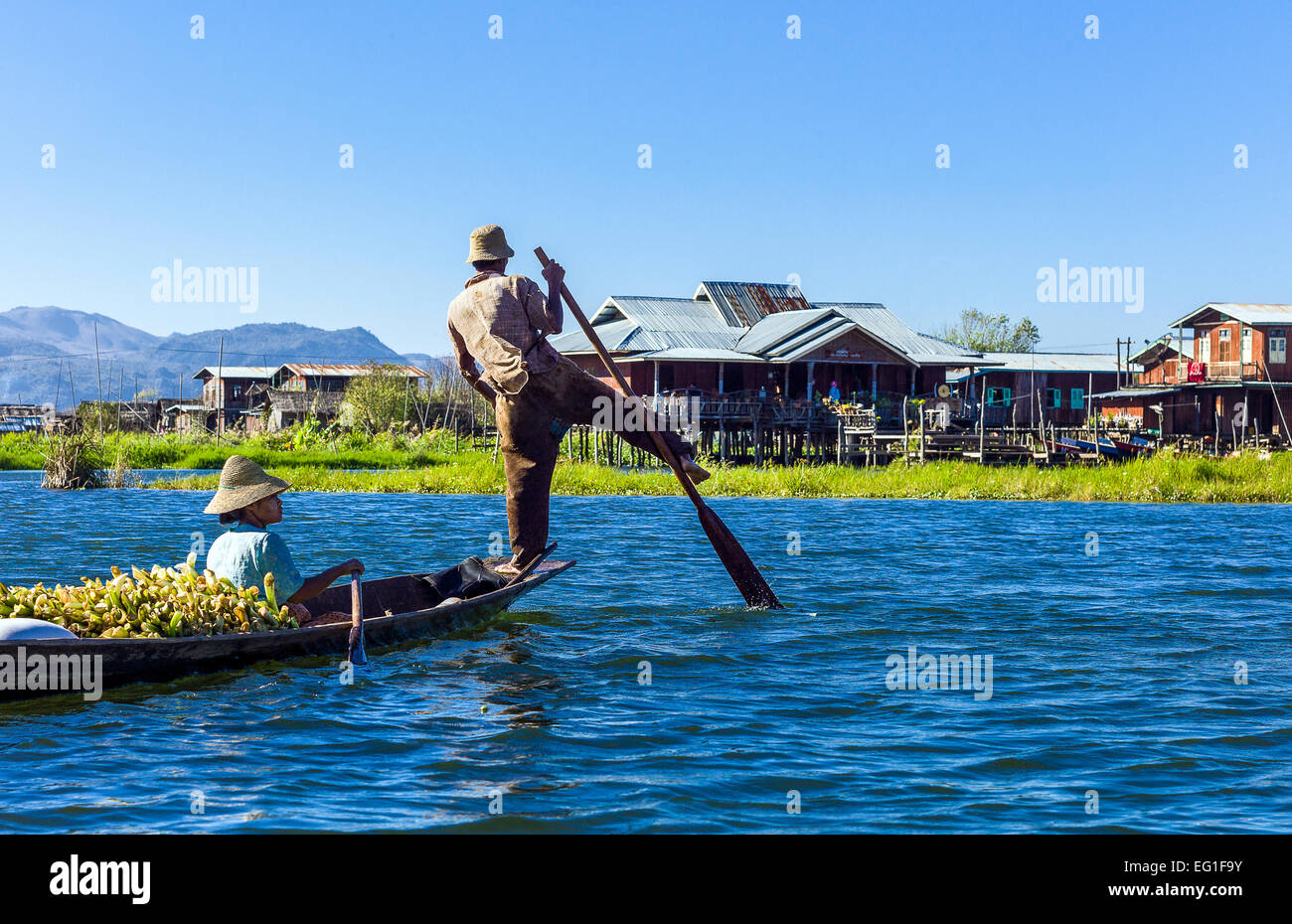 Myanmar, Shan State, a boat coming from the market with the rower ...