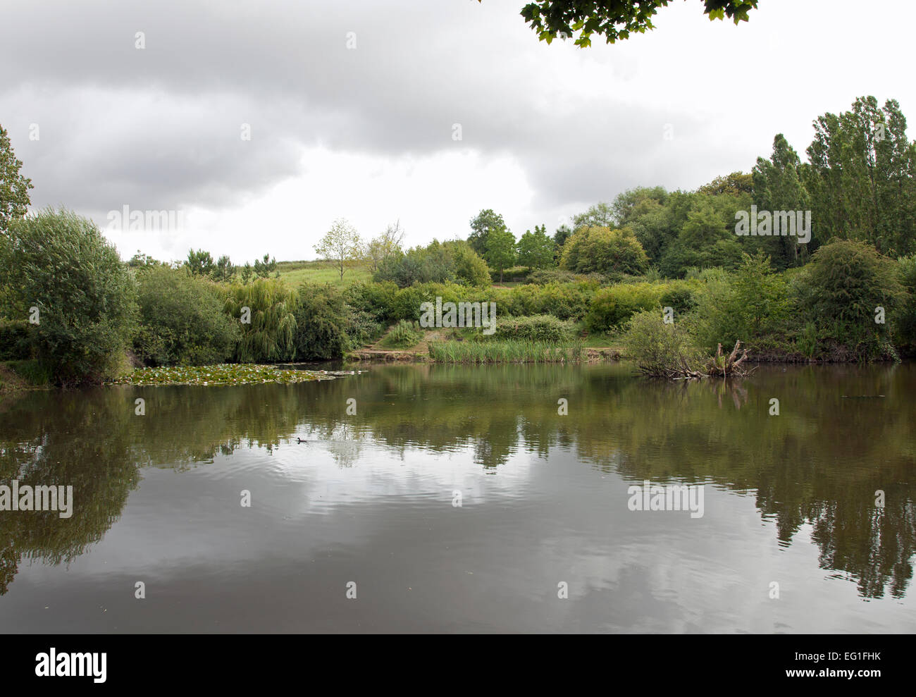 A quiet day at Folly Park Lake, Faringdon, Oxfordshire, England Stock ...