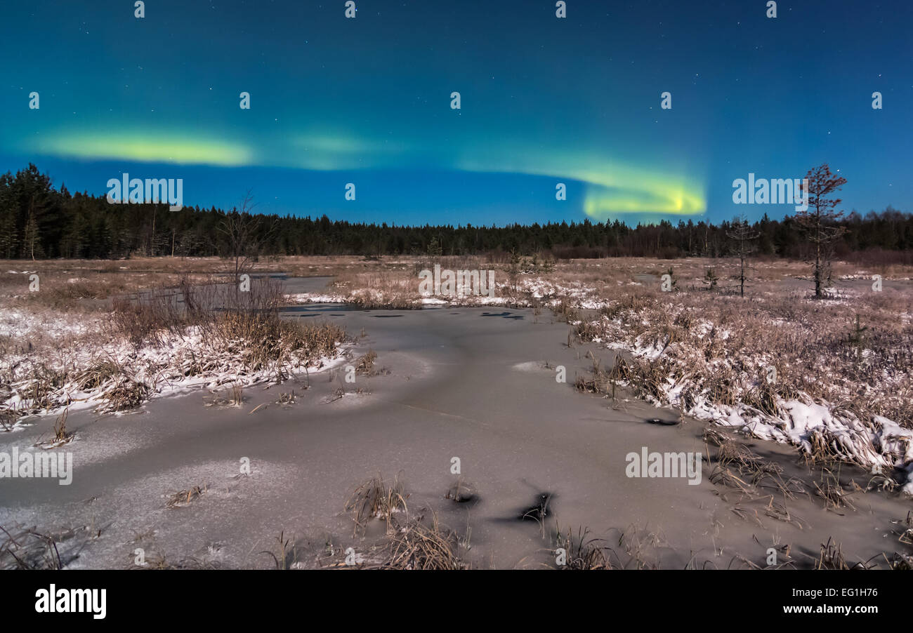 Aurora borealis over a mire Stock Photo - Alamy