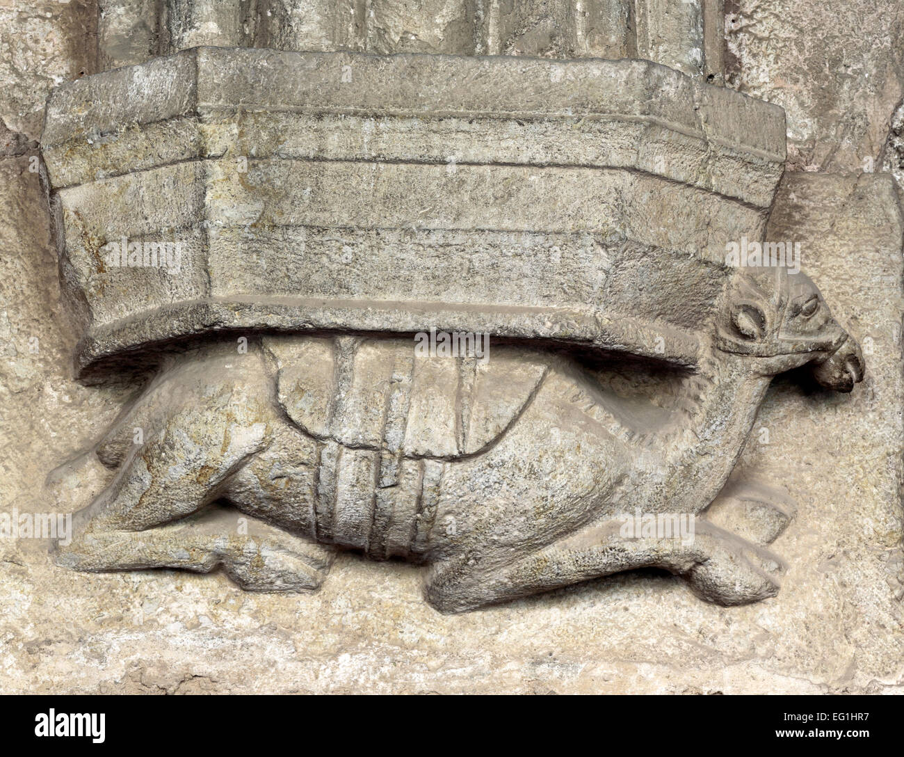 Camel sculpture hi-res stock photography and images - Alamy