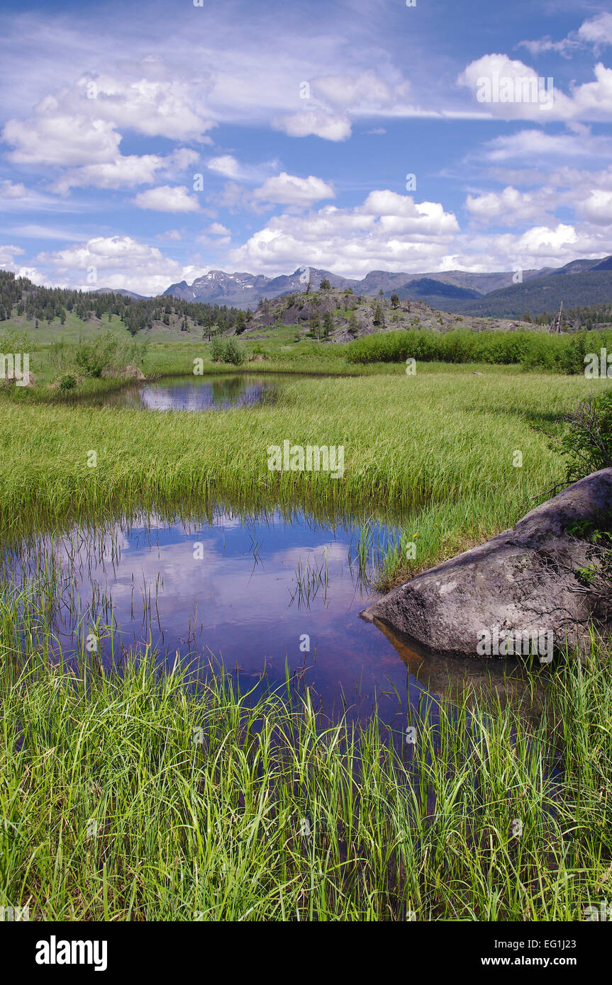 Yellowstone national park reflection hi-res stock photography and ...