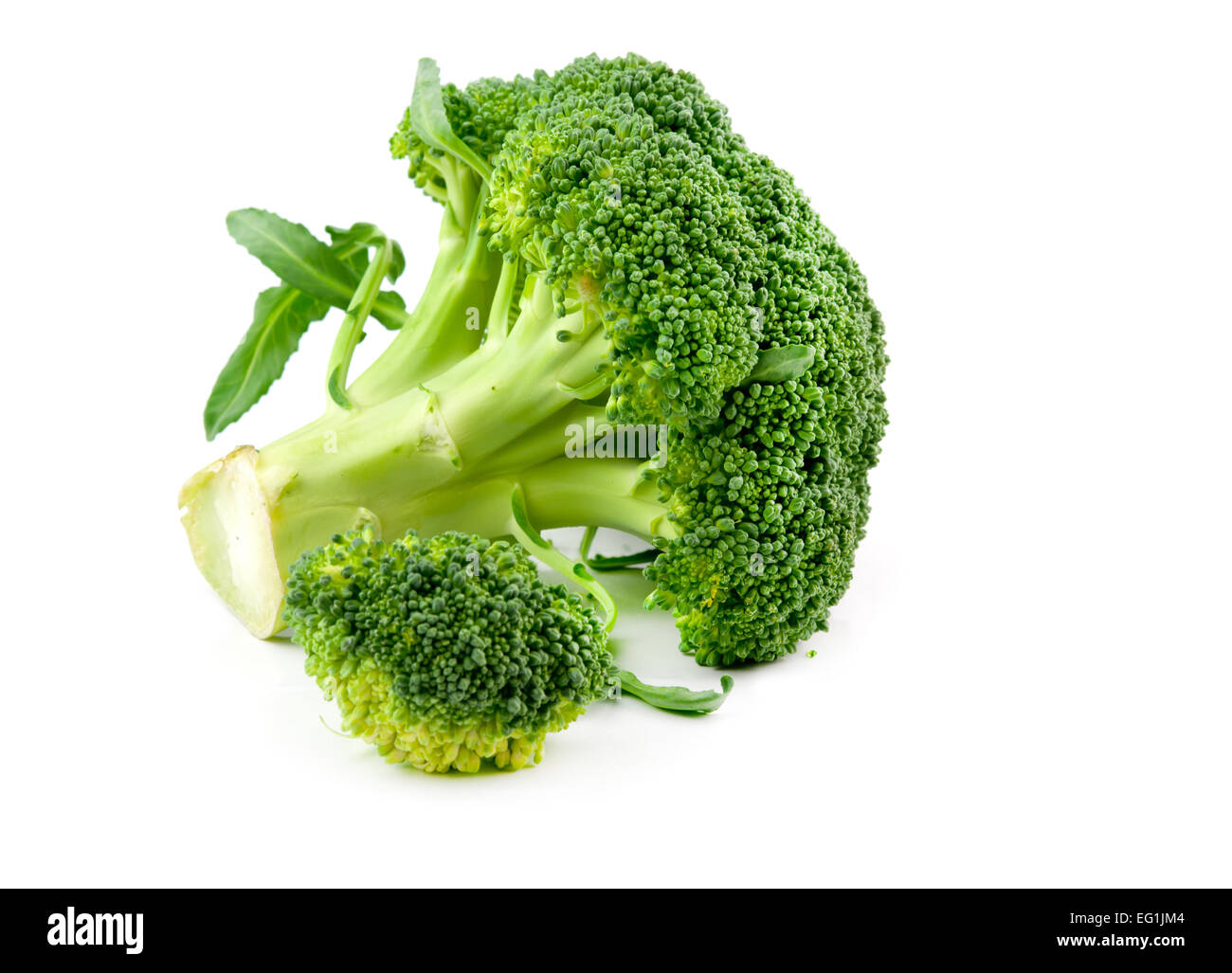 fresh raw broccoli isolated on white background Stock Photo - Alamy