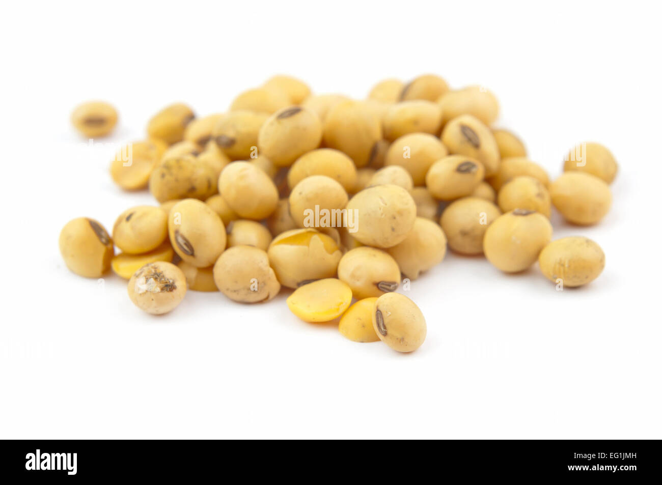 soybean isolated on white background Stock Photo - Alamy