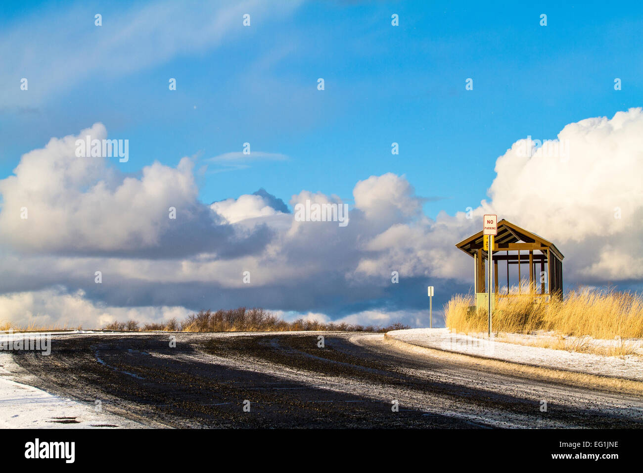 Pullman in Winter Stock Photo - Alamy