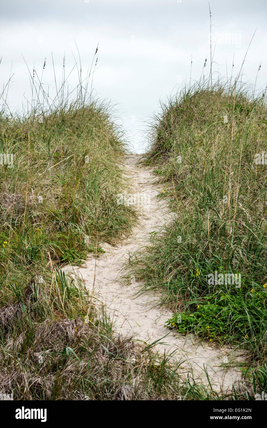 Sebastian Florida,North Hutchinson Orchid Island,Sebastian Inlet water ...