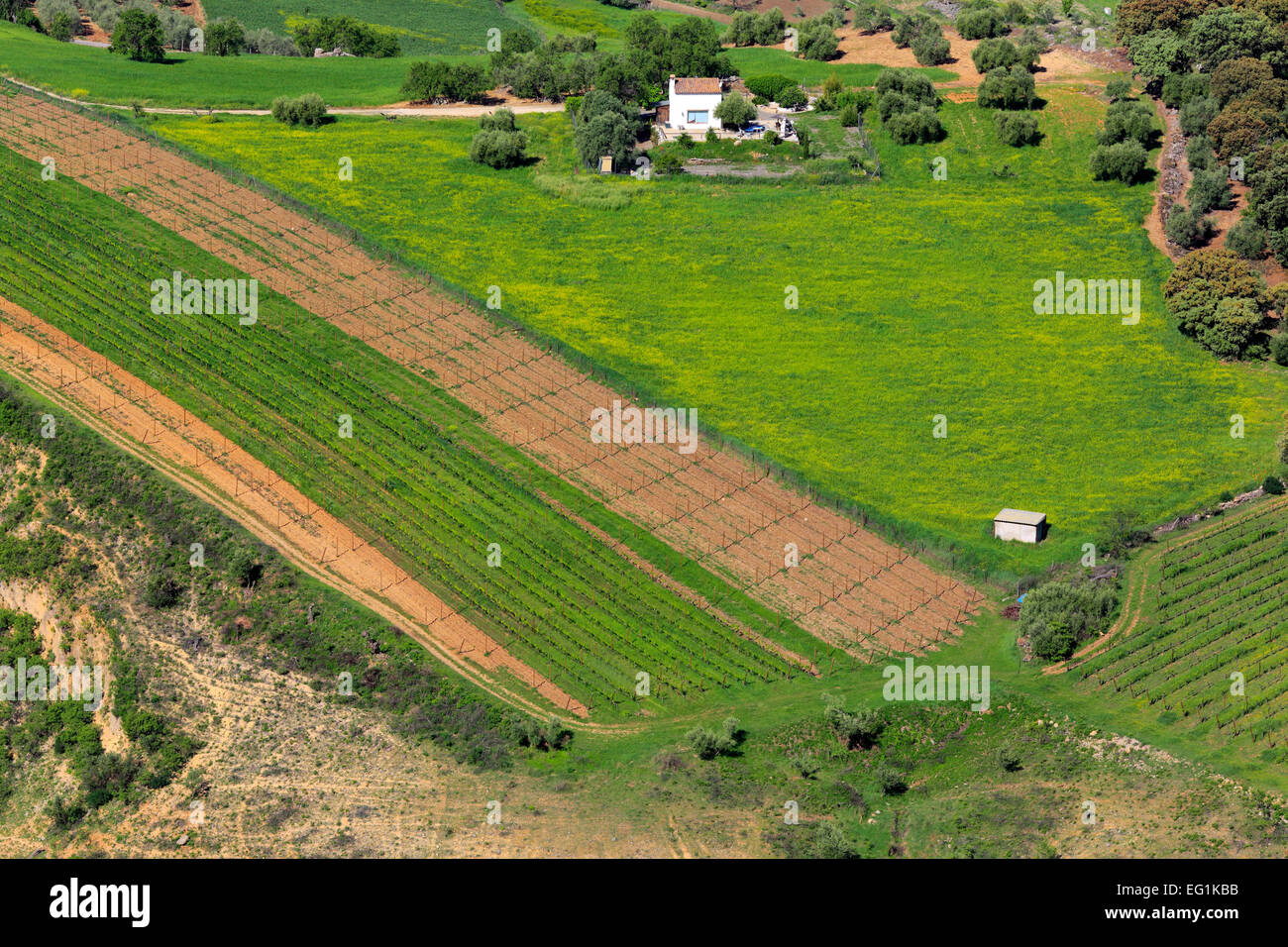 Andalusia and countryside hi-res stock photography and images - Alamy