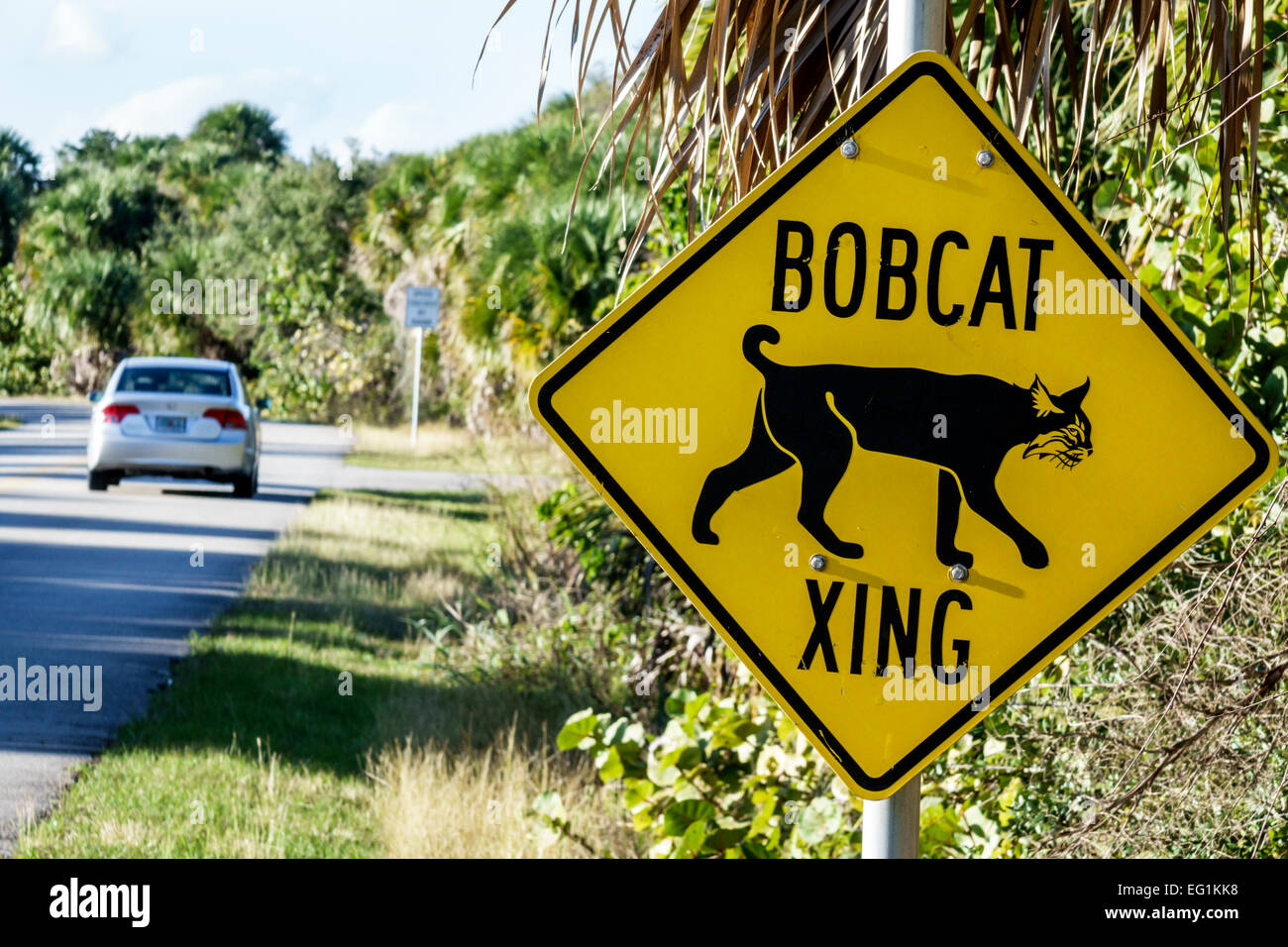 Fort Ft. Pierce Florida,Hutchinson Barrier Island,Fort Pierce Inlet ...