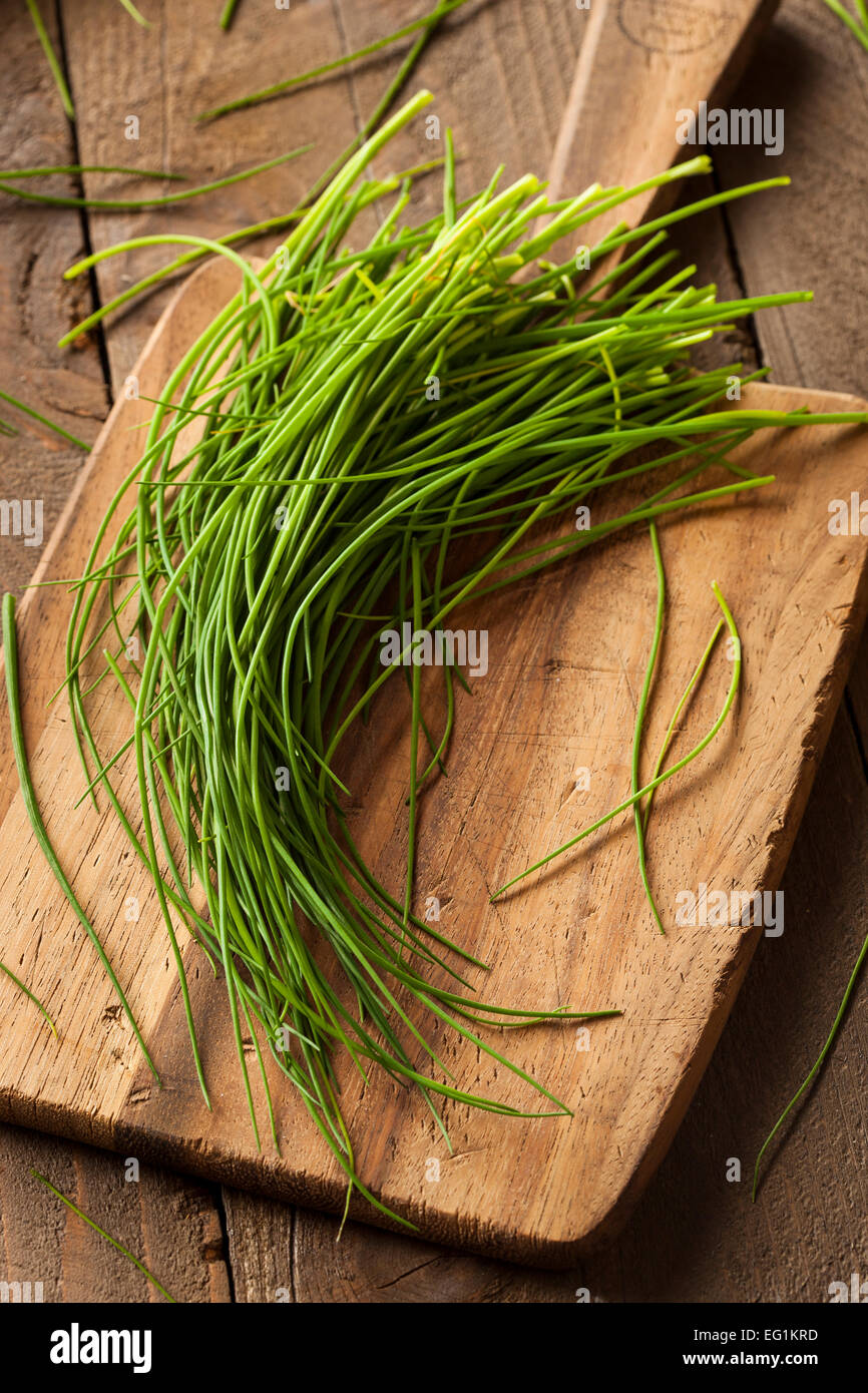Green chive plant hi-res stock photography and images - Alamy