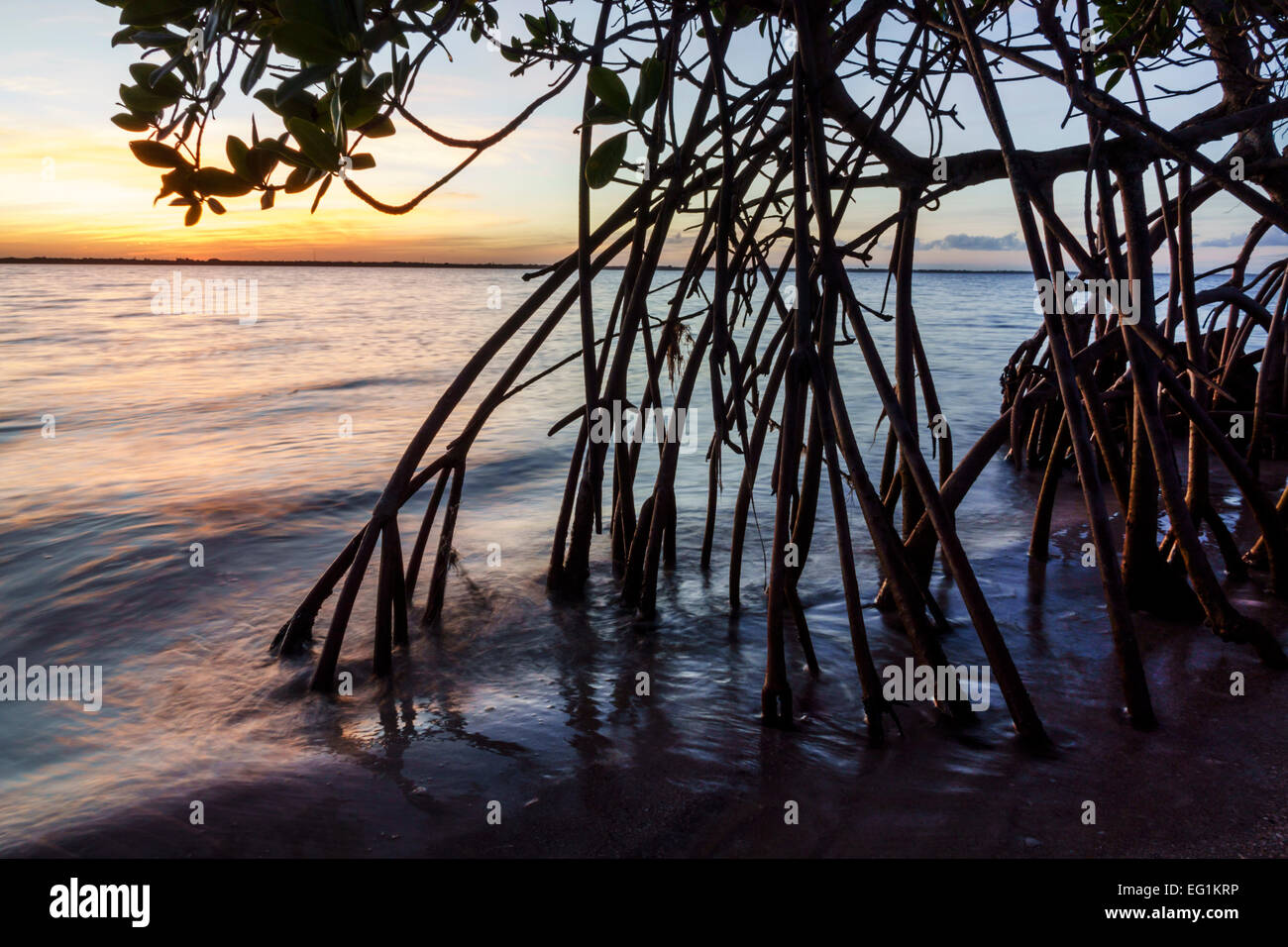 Florida jensen beach indian river lagoon hi-res stock photography and ...