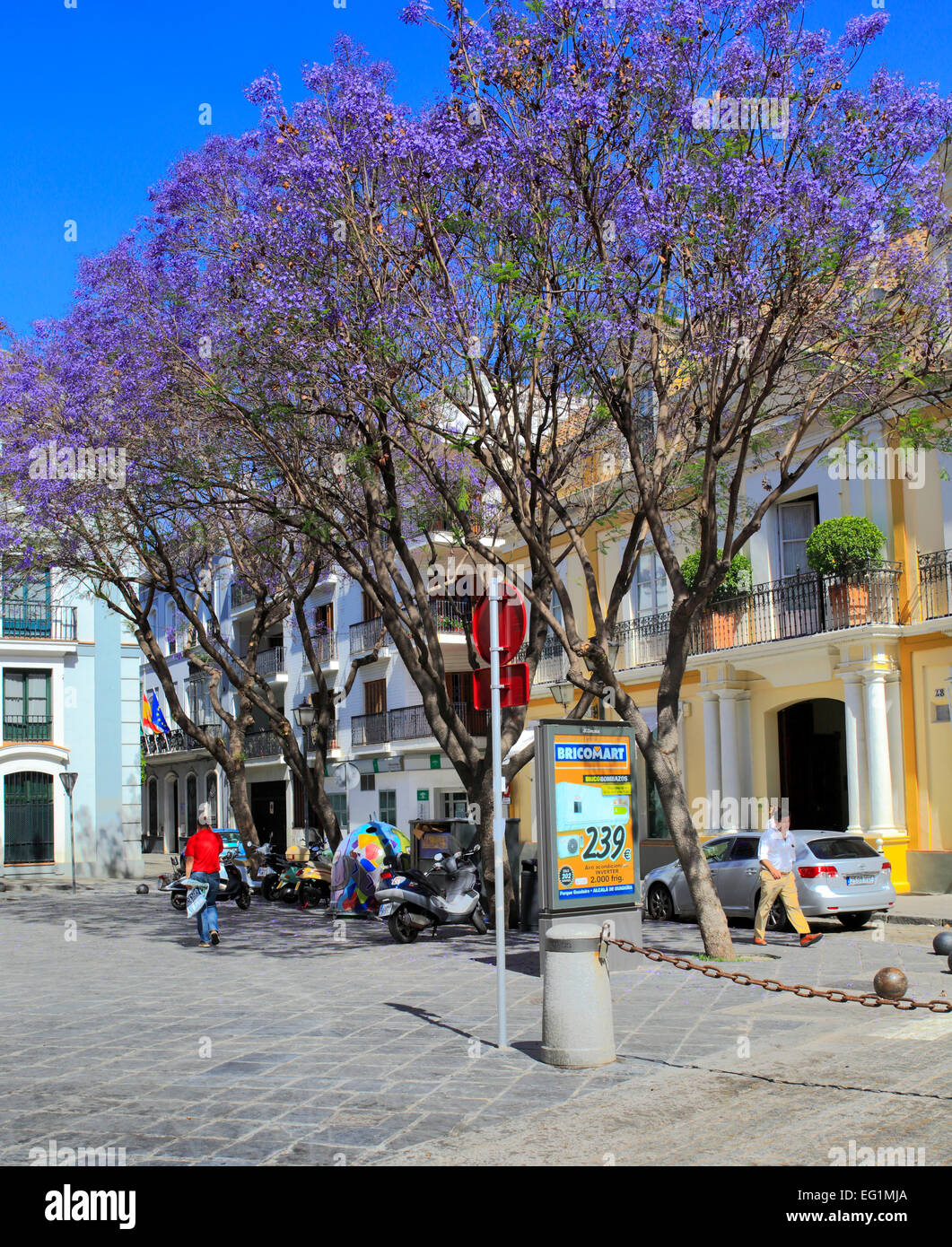 Jacaranda trees spain hi-res stock photography and images - Alamy