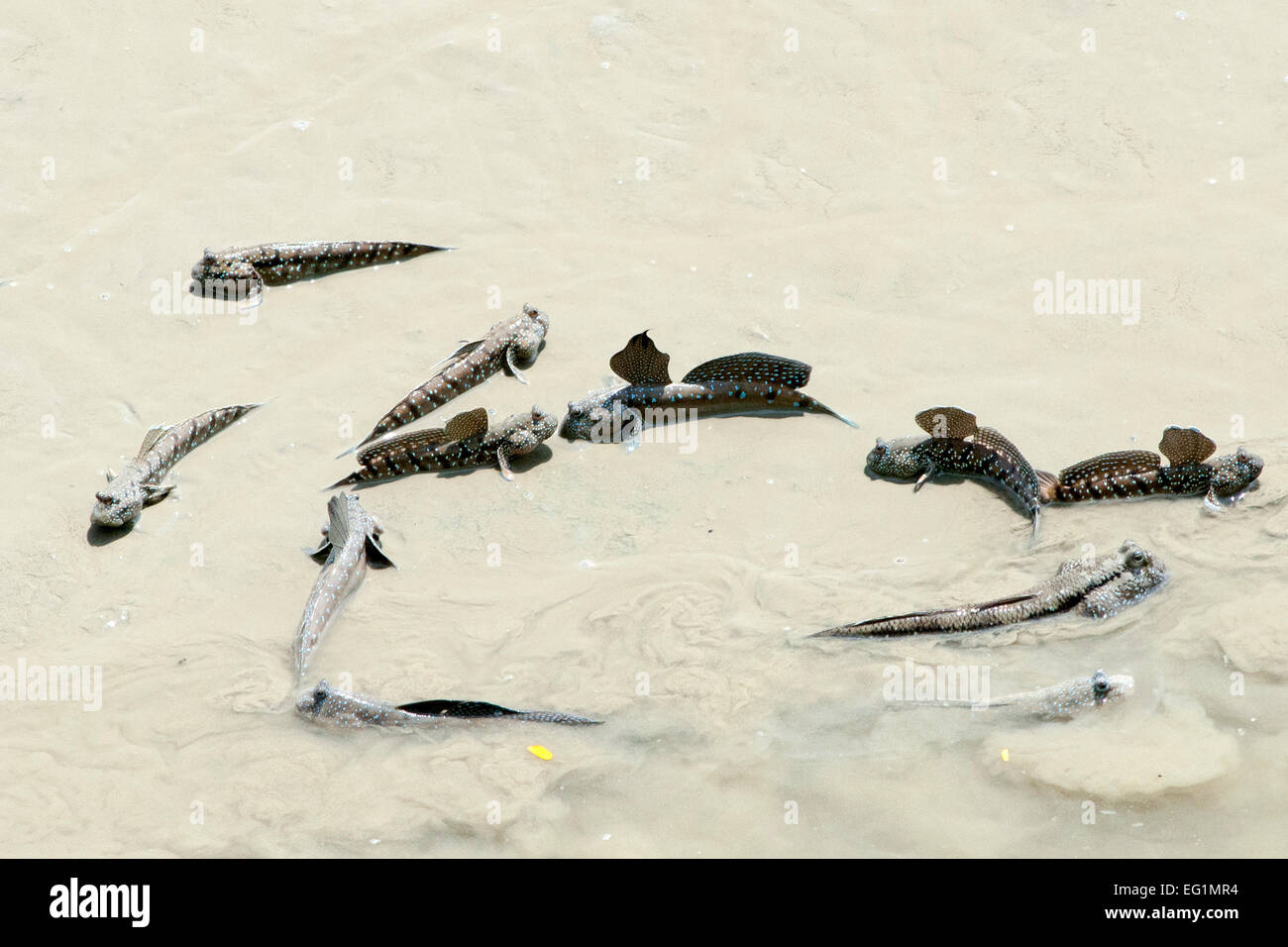 Shallow coastal waters hi-res stock photography and images - Alamy