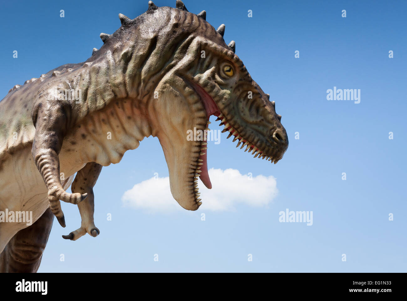 Tyrannosaurus Rex close up over blue sky background, T-Rex Stock Photo ...