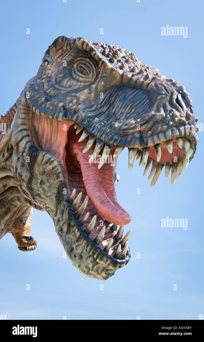 Tyrannosaurus Rex close up over blue sky background, T-Rex Stock Photo ...