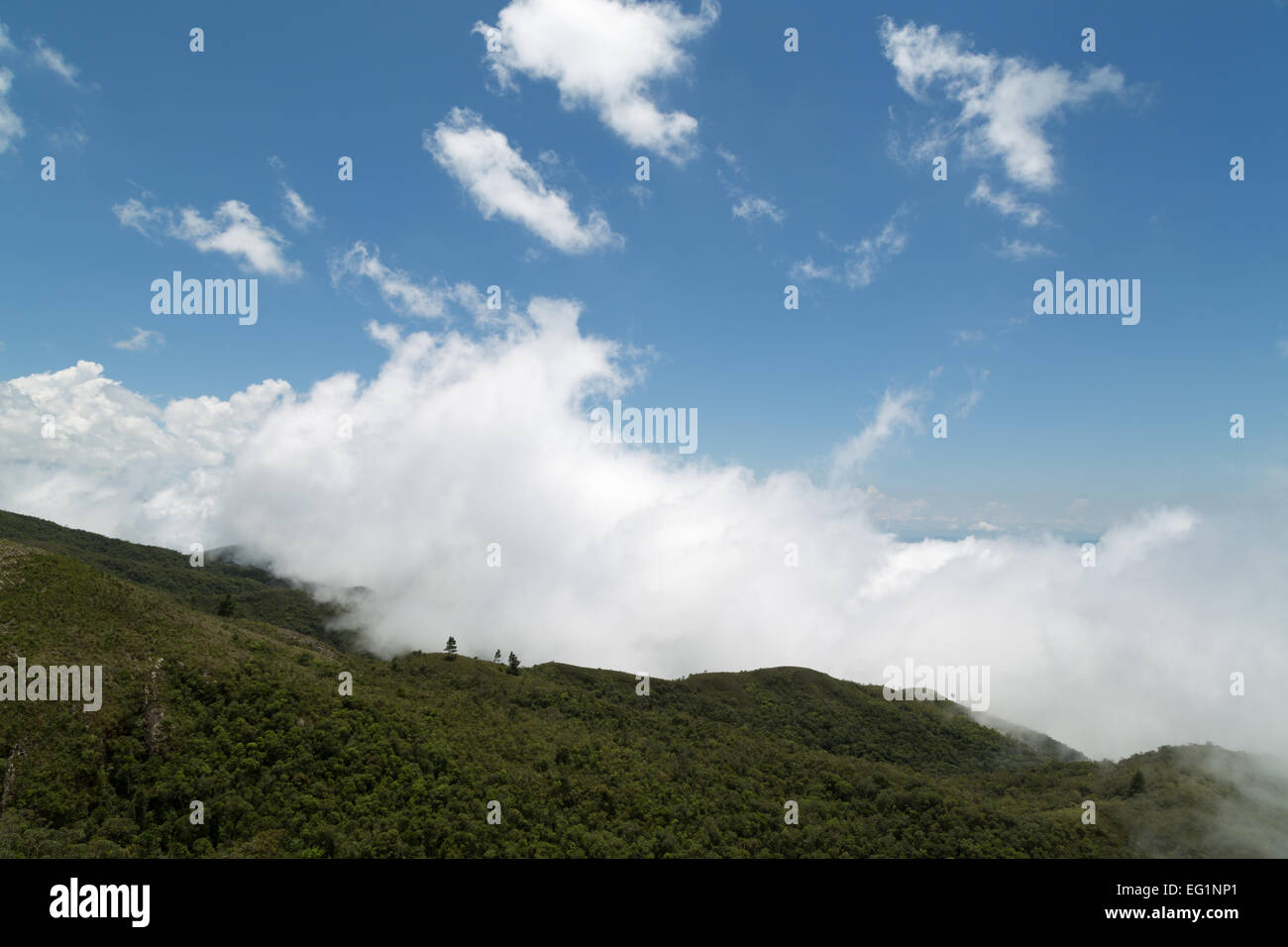 Orographic clouds passing over a mountain top near Pico do Itapeva ...