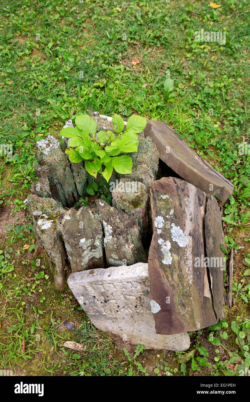 Broken tombstones lined up against an old tree stump Stock Photo - Alamy