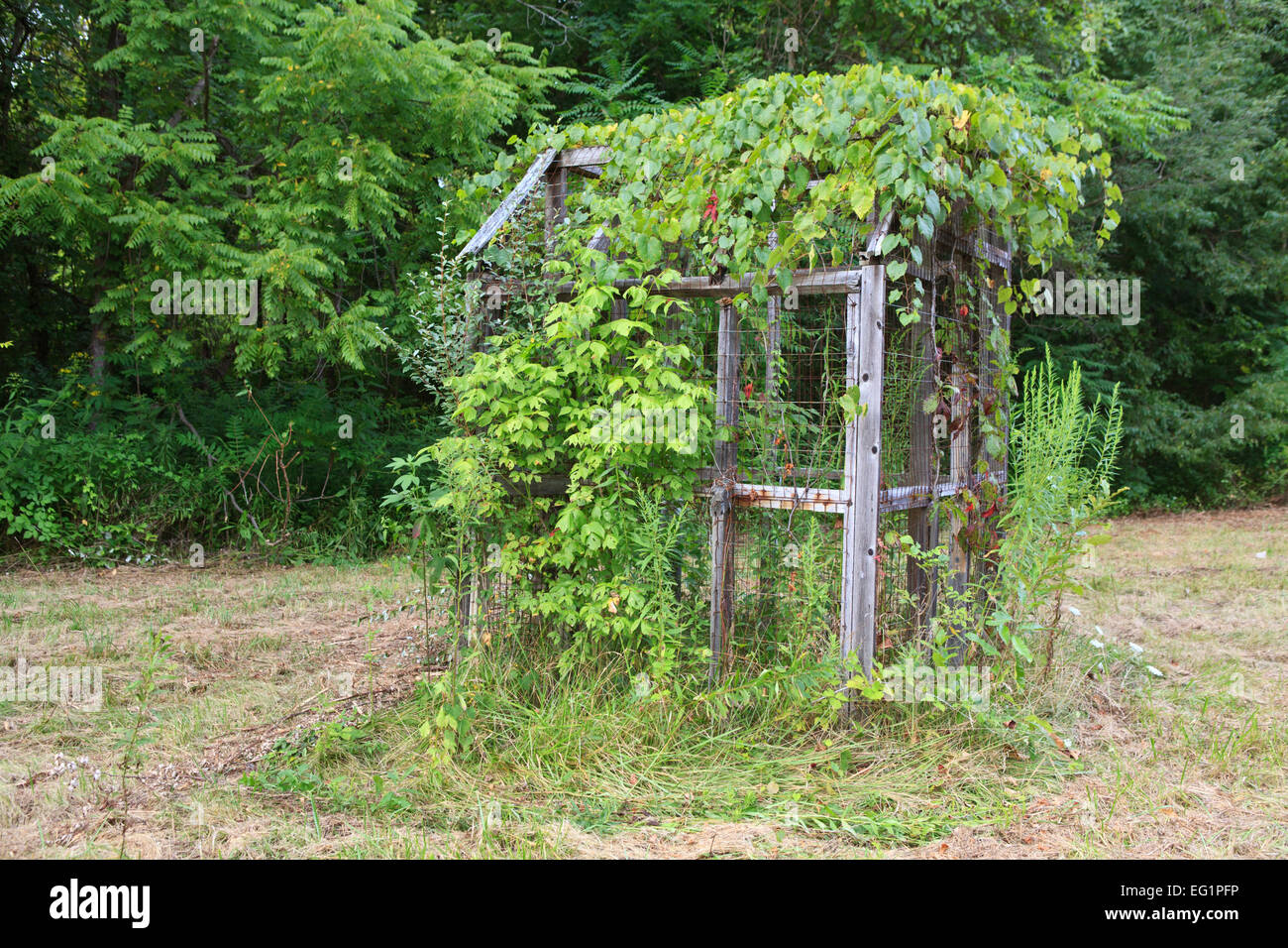 Old chicken coop hi-res stock photography and images - Alamy