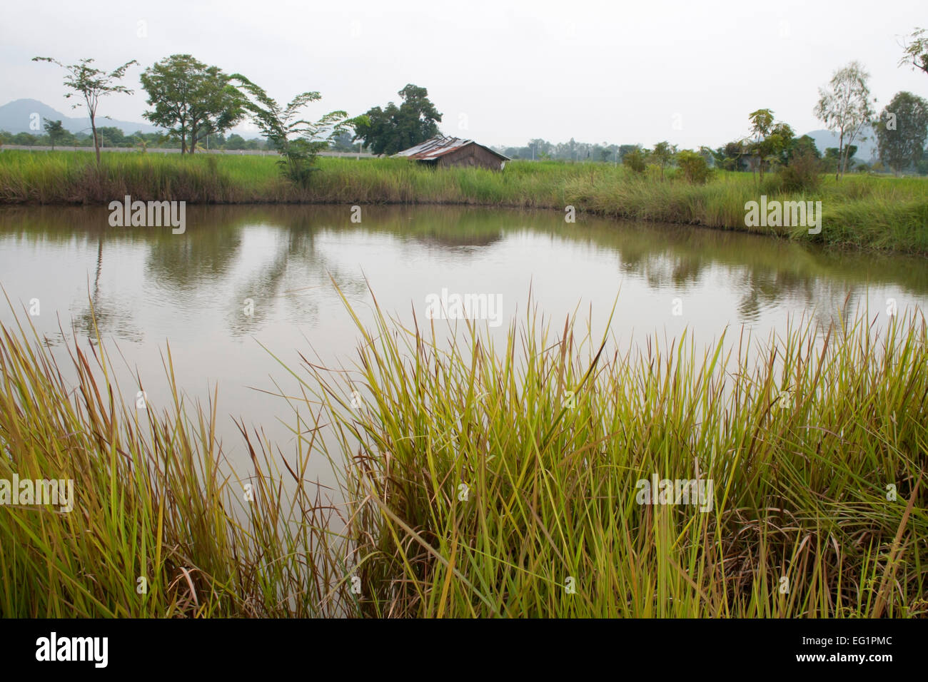 Country Hut Thailand Stock Photo - Alamy