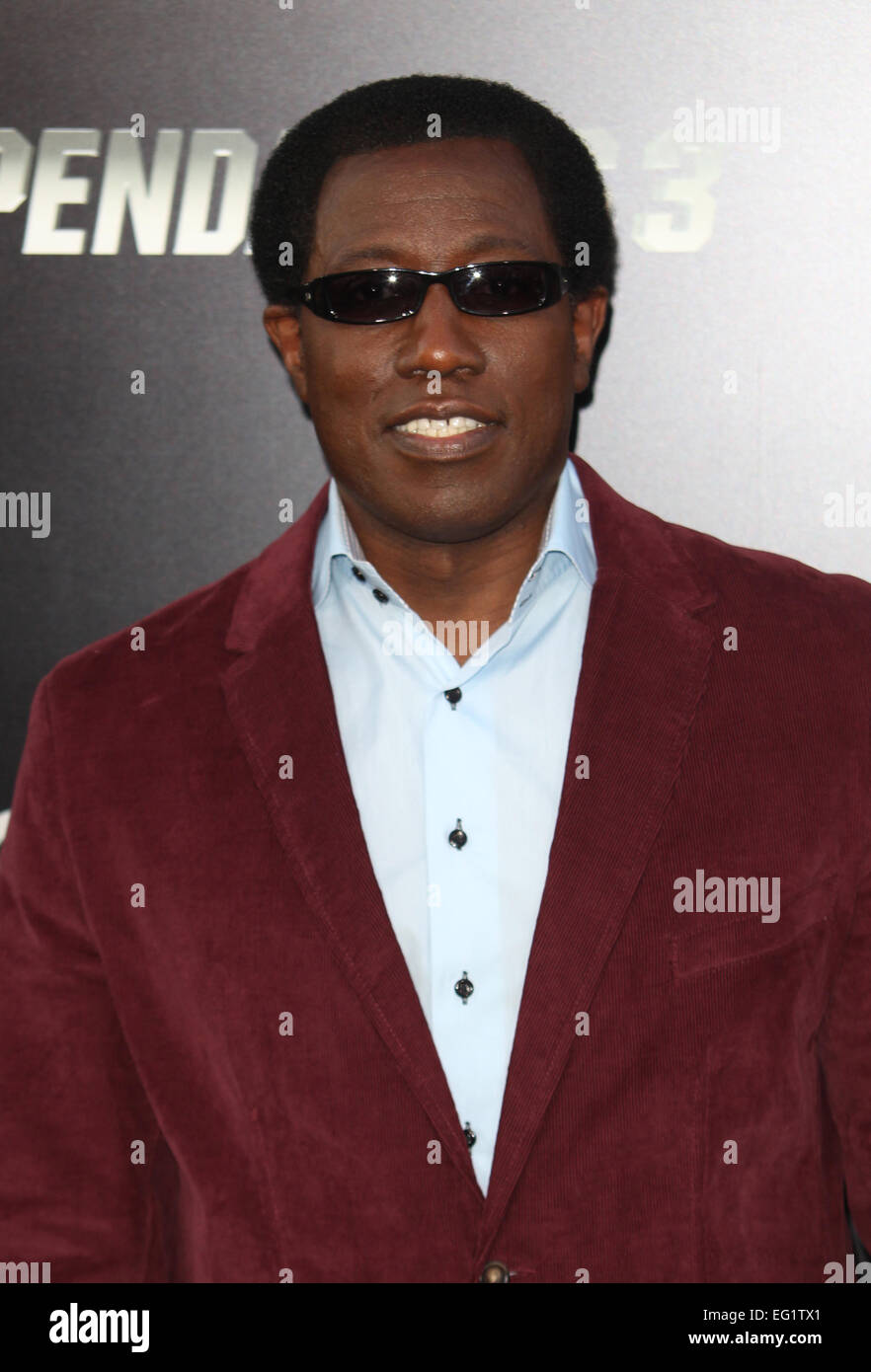 Premiere Of Lionsgate Films' "The Expendables 3" Featuring: Wesley ...
