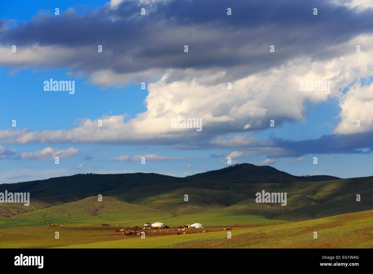 Landscape near Bulgan, Mongolia Stock Photo - Alamy