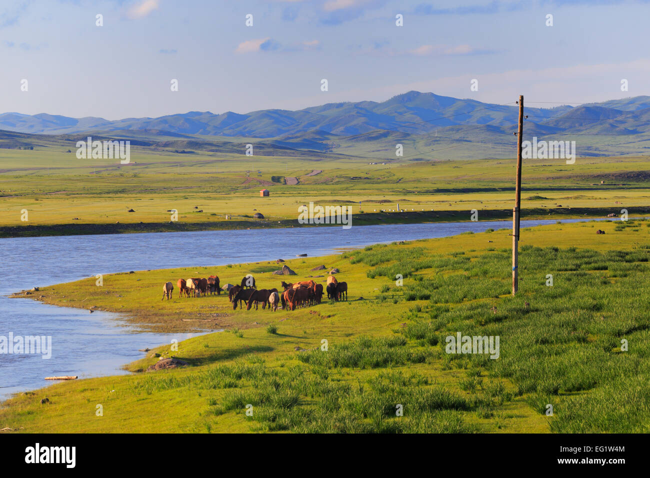 Orkhon river, Bulgan province, Mongolia Stock Photo - Alamy