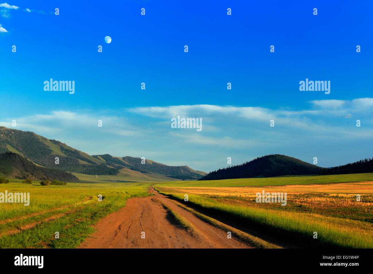 Road in steppe, Orkhon river, Bulgan province, Mongolia Stock Photo - Alamy