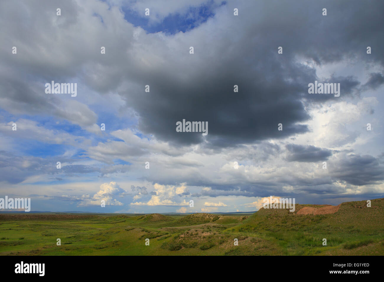 Baliq hi-res stock photography and images - Alamy