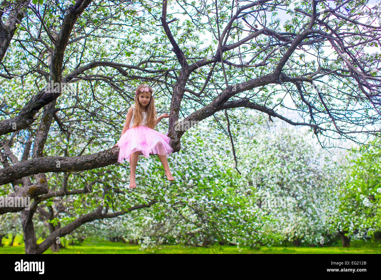 Little adorable girl sitting on blossoming tree in apple garden Stock ...