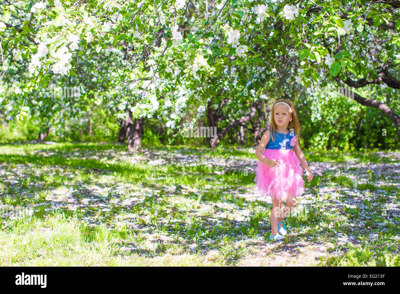 Adorable little girl have fun in blossoming apple tree garden at may Stock Photo - Alamy