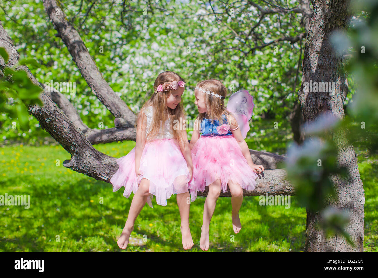 Little adorable girls sitting on blossoming tree in apple garden Stock Photo - Alamy