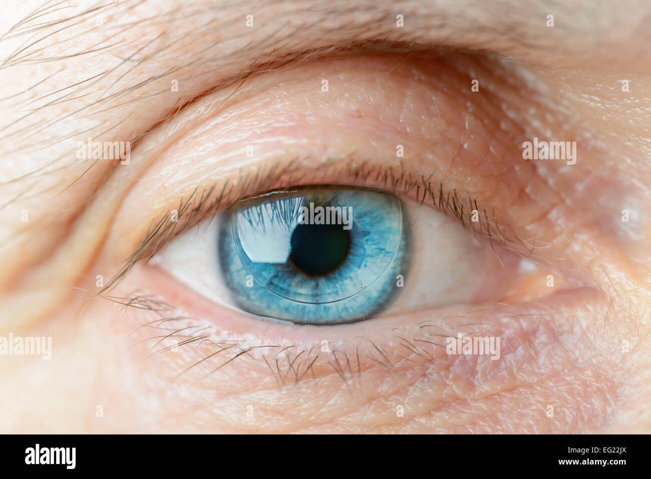 Eye on lens hi-res stock photography and images - Alamy