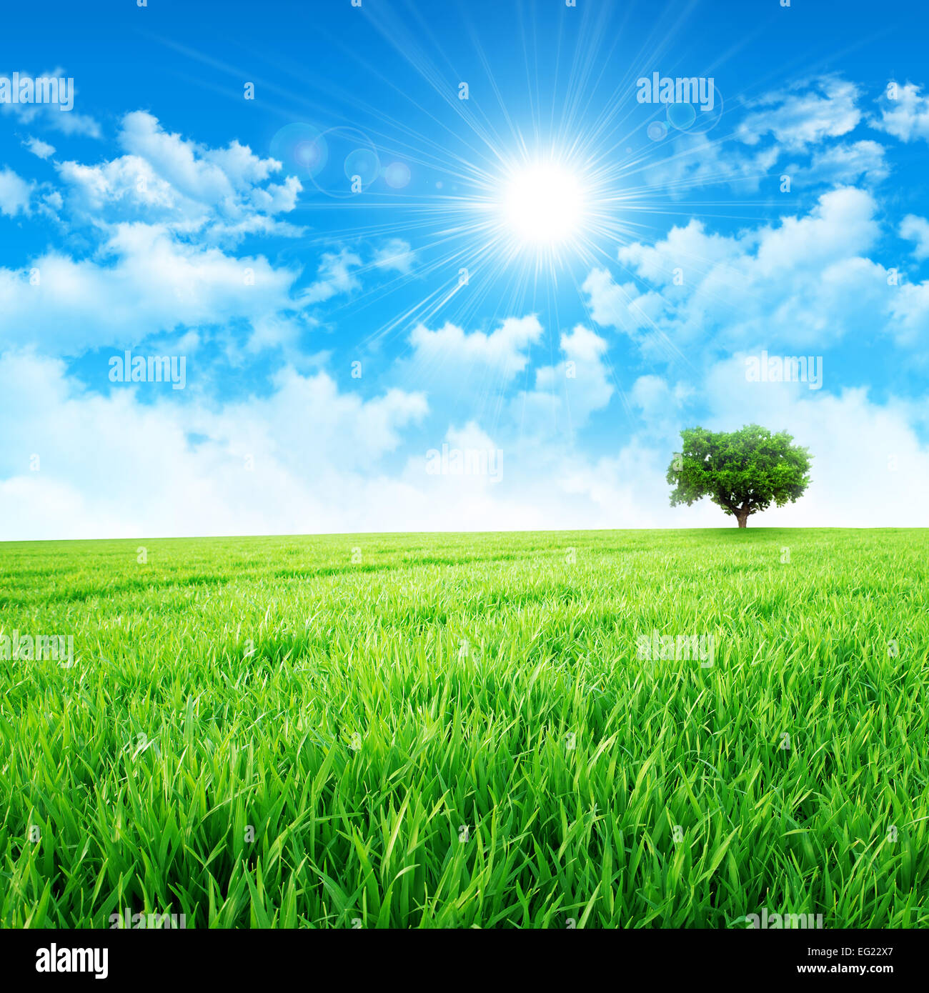 New energy is green hi-res stock photography and images - Alamy