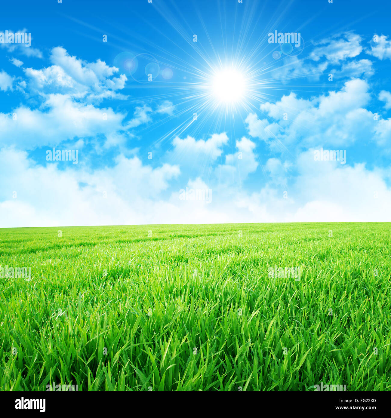 Intense sun breaking through the clouds upon a green grass field Stock ...