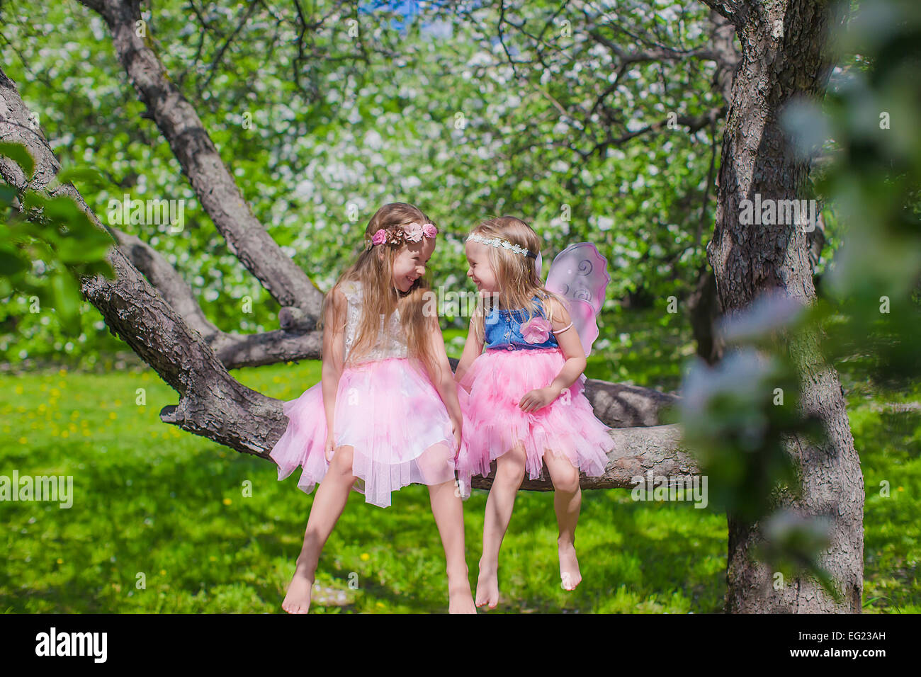 Little adorable girls sitting on blossoming tree in apple garden Stock Photo - Alamy